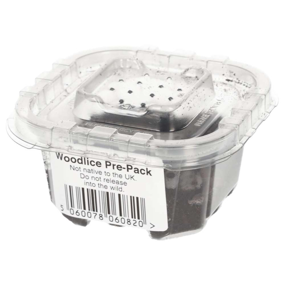 Tropical Grey Woodlice Letterbox Pack (approximately 20) – reptilefood ...